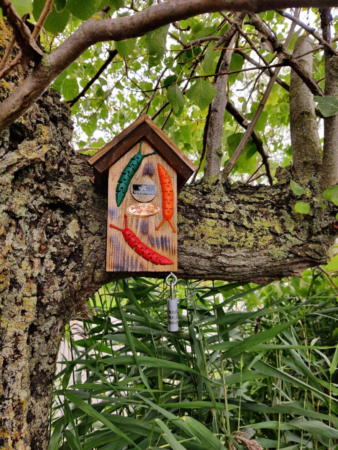 Brugsche Zwoane 🦢 geo-art in Brugge